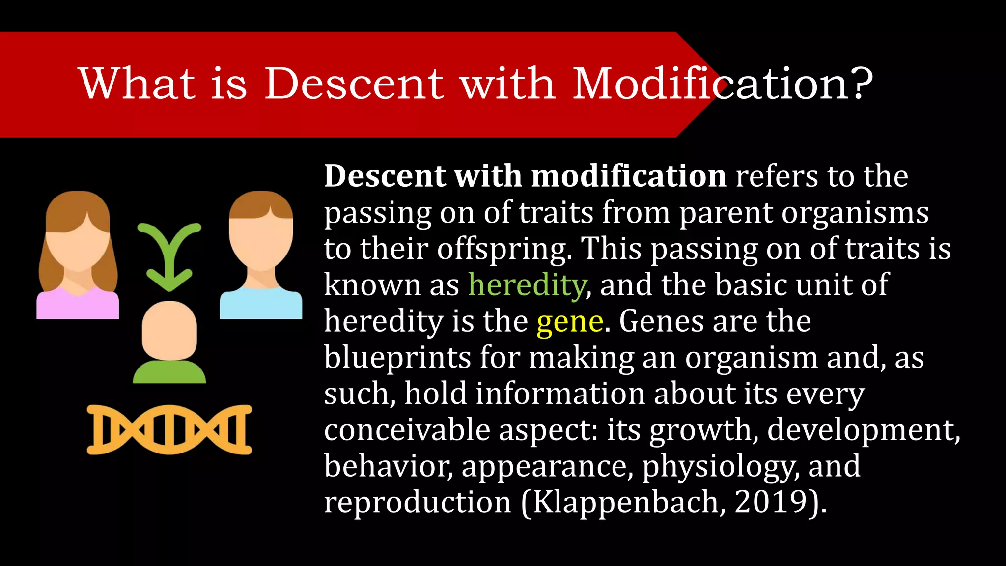 Descent with Modifications.pptx