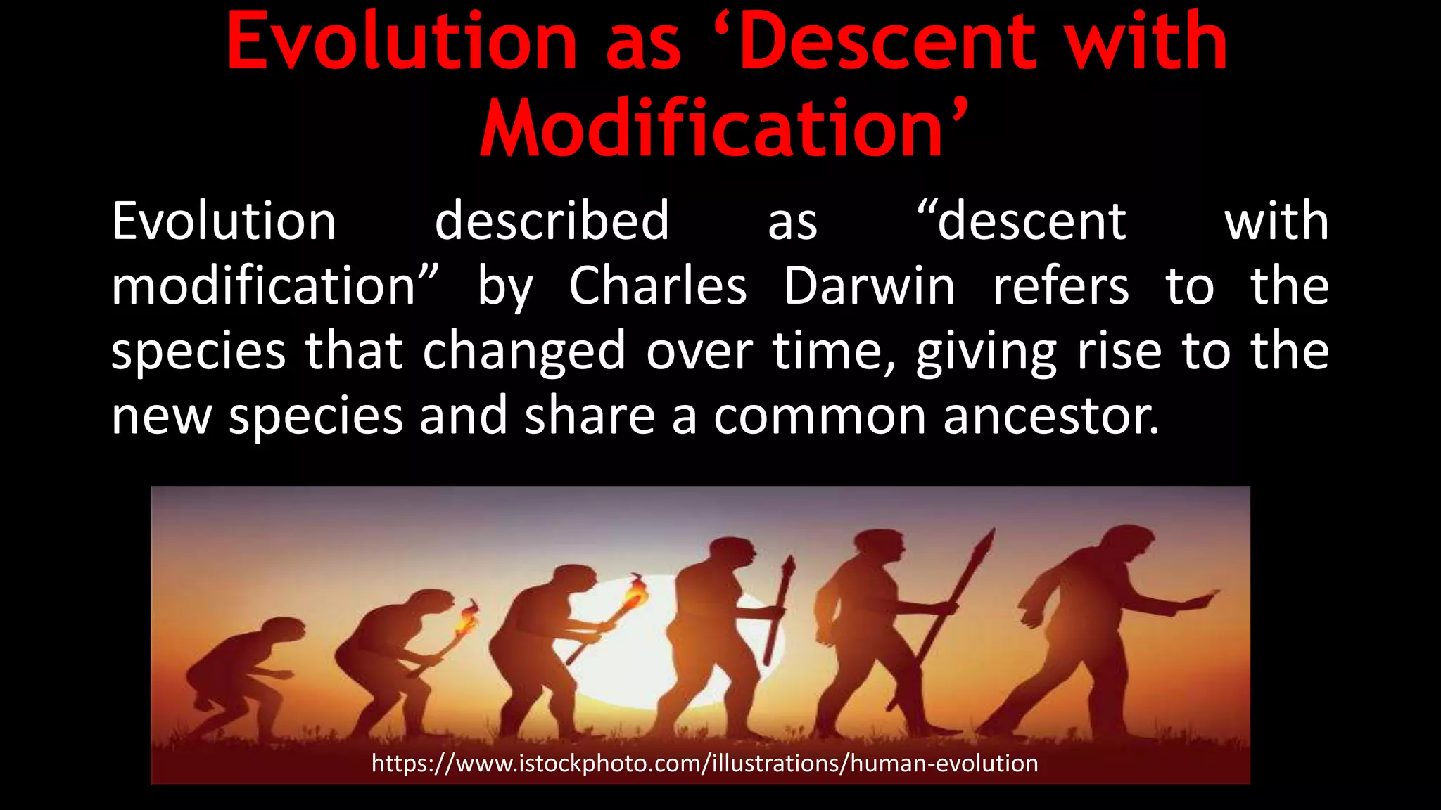 Descent with Modifications.pptx