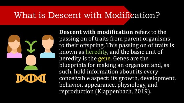 Descent with Modifications.pptx