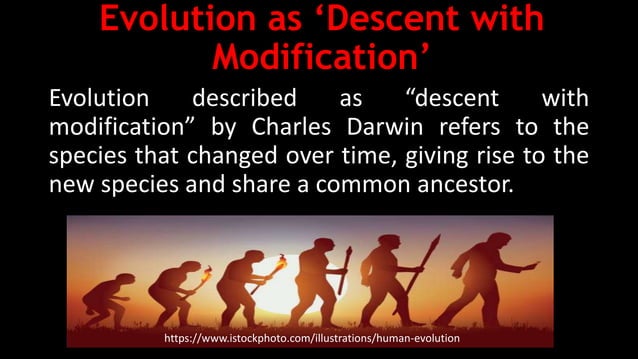 Descent with Modifications.pptx