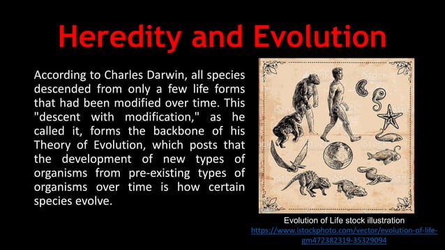 Descent with Modifications.pptx