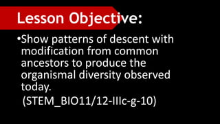 Descent With Modification