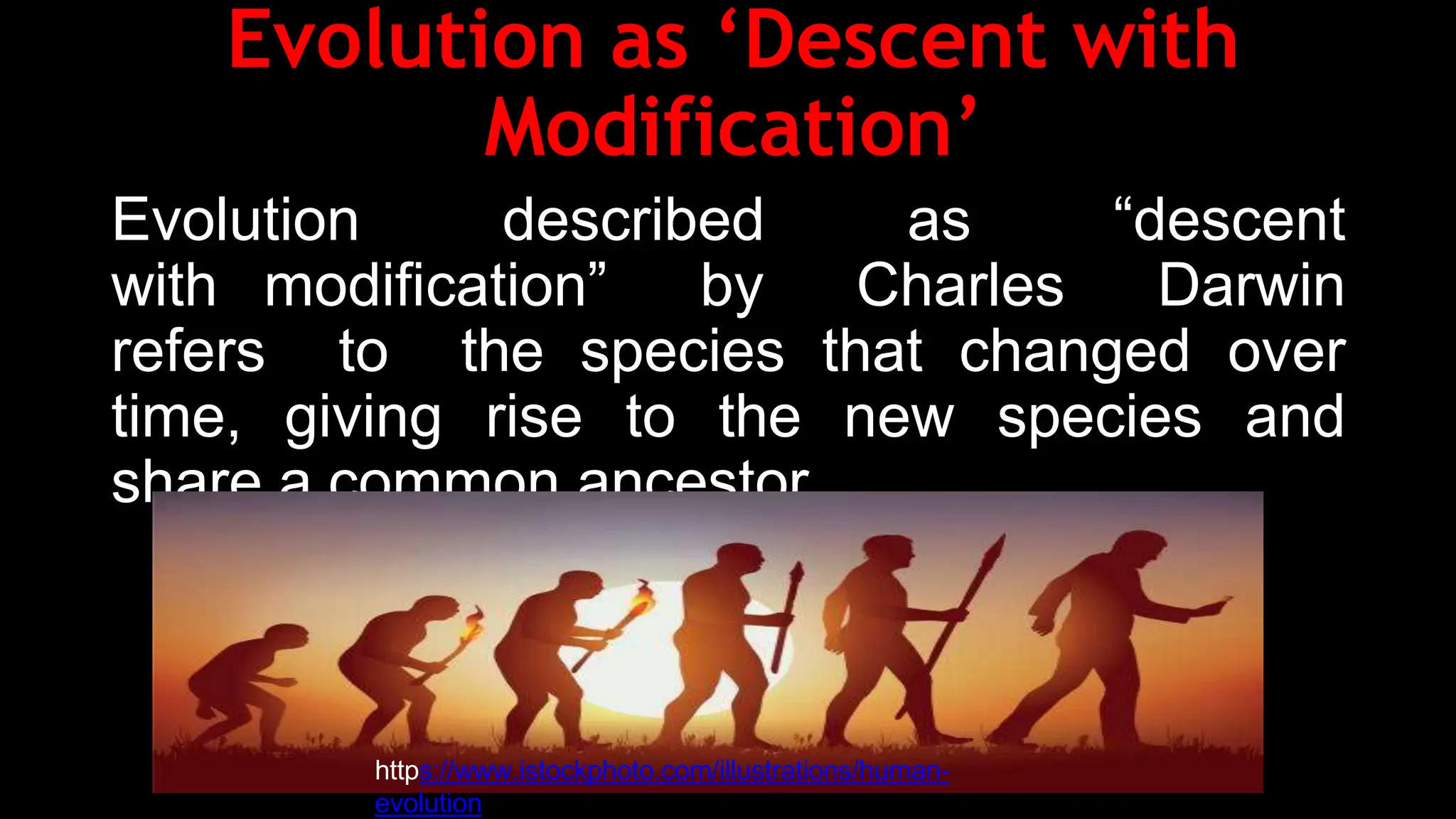 descentwithmodifications-220910074818-1ff0be1e (1).pptx | Genetics | Science