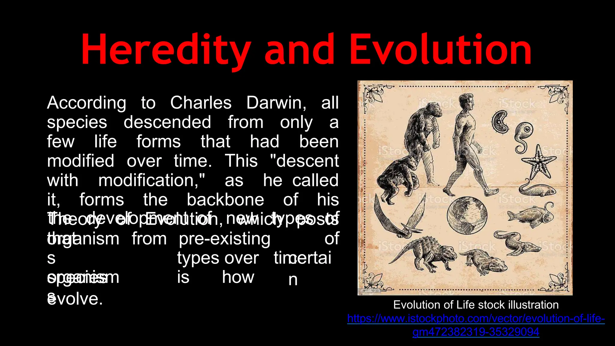 descentwithmodifications-220910074818-1ff0be1e (1).pptx | Genetics ...