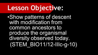 descentwithmodifications-220910074818-1ff0be1e (1).pptx | Genetics ...