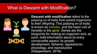 descentwithmodifications-220910074818-1ff0be1e (1).pptx | Genetics ...