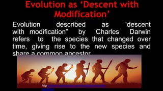 descentwithmodifications-220910074818-1ff0be1e (1).pptx | Genetics ...
