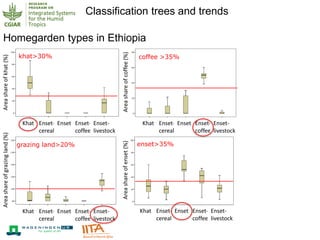 Hypothesis based typologies for capturing diversity by Descheemaeker et ...