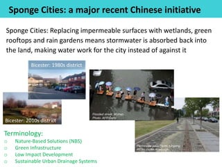 DeSCIPHER_norway sponge city case study. | PPTX