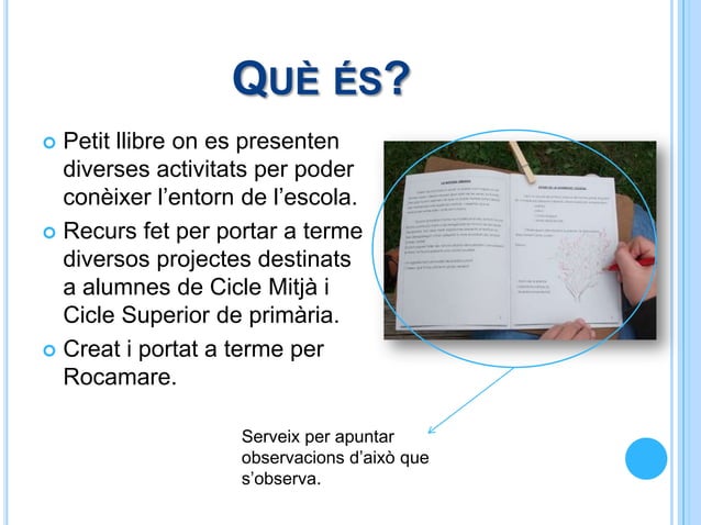 Descoberta de l’entorn natural de l’escola | PPT