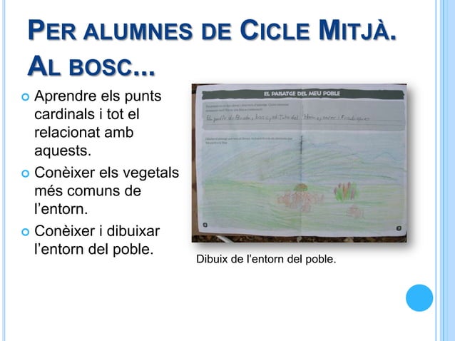 Descoberta de l’entorn natural de l’escola | PPT | Free Download