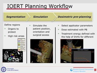 Desco, Manuel - Virtual planning for IOERT: radiance | PDF