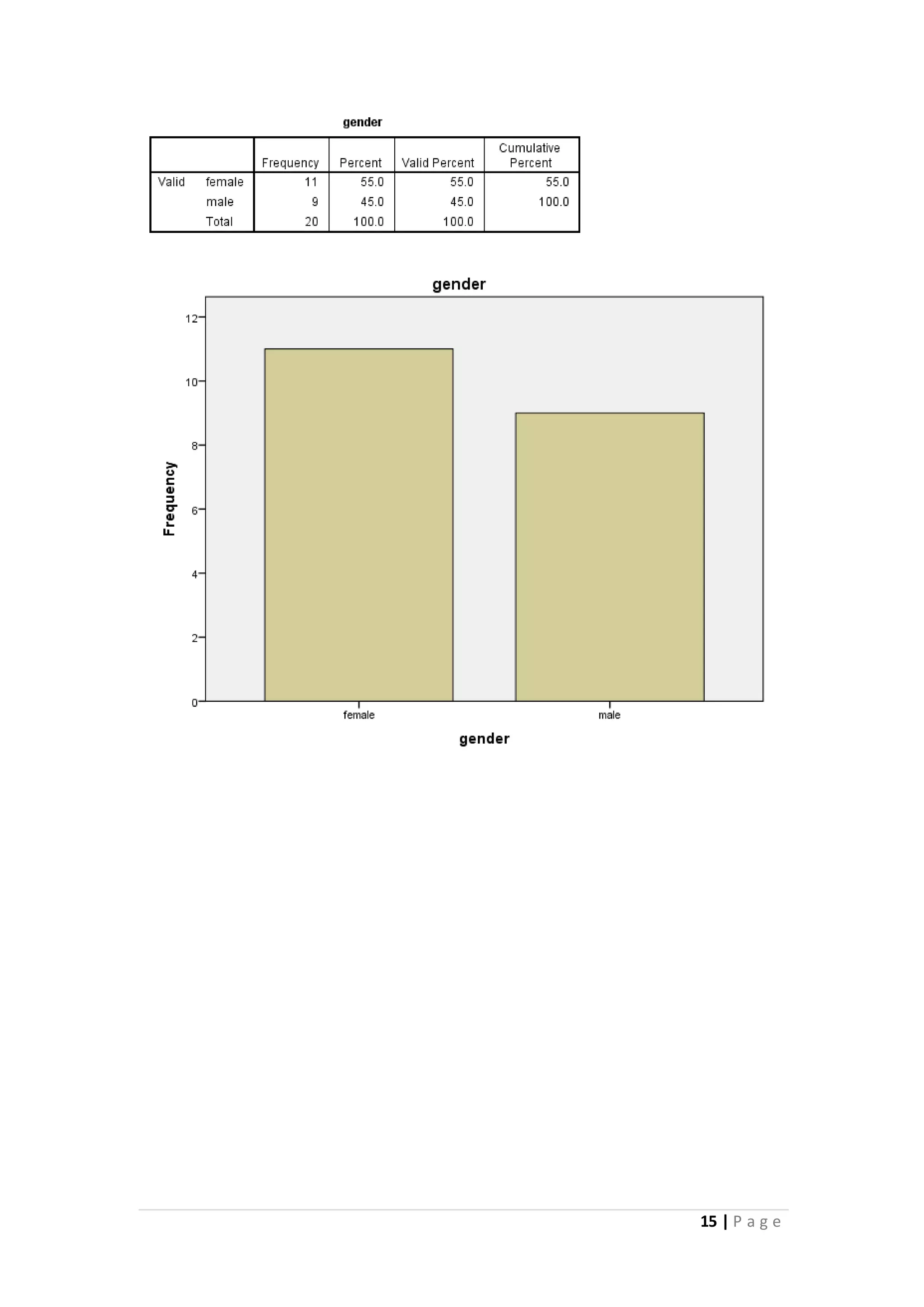 Descriptive Statistics - SPSS | DOCX
