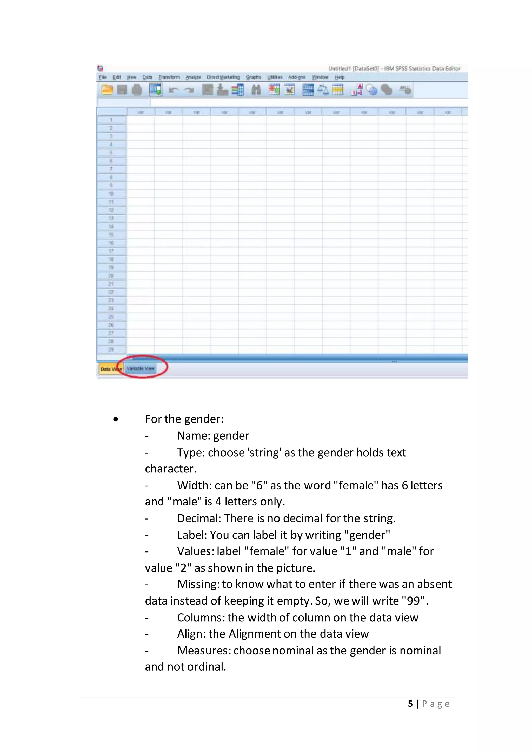 Descriptive Statistics - SPSS | DOCX