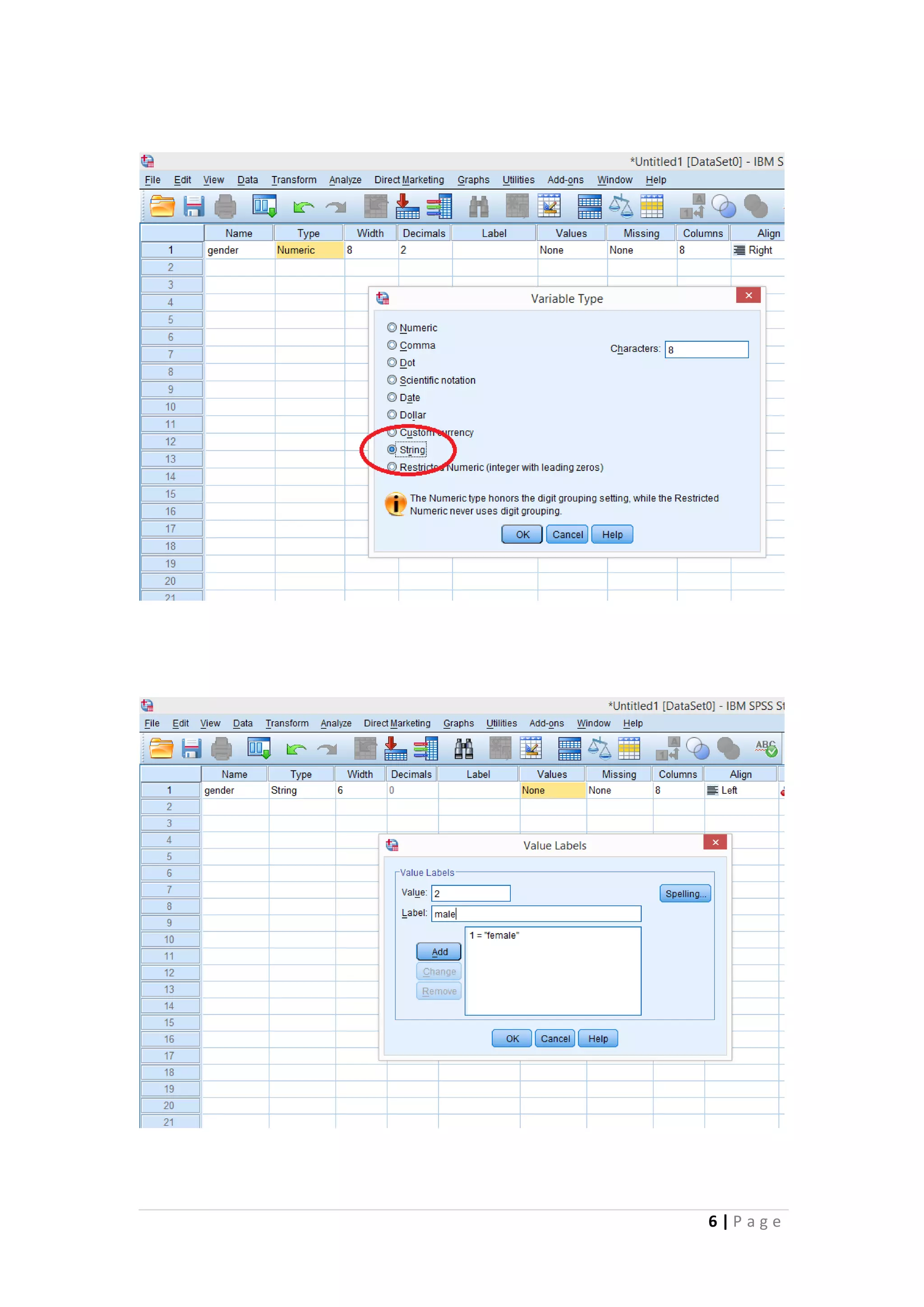 Descriptive Statistics - SPSS | DOCX