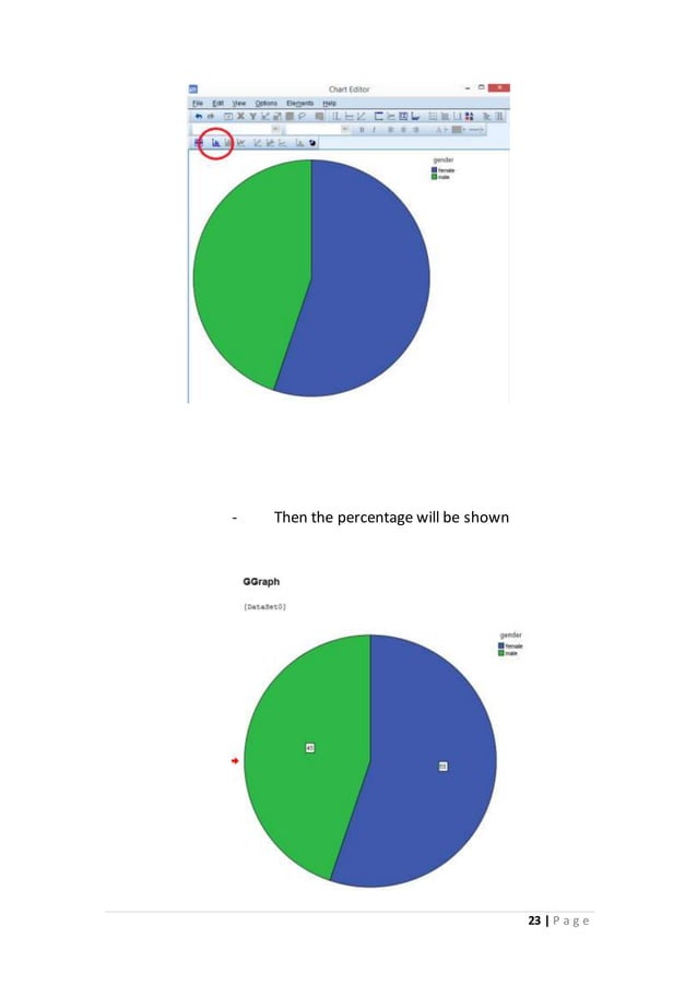 Descriptive Statistics Spss Docx Science