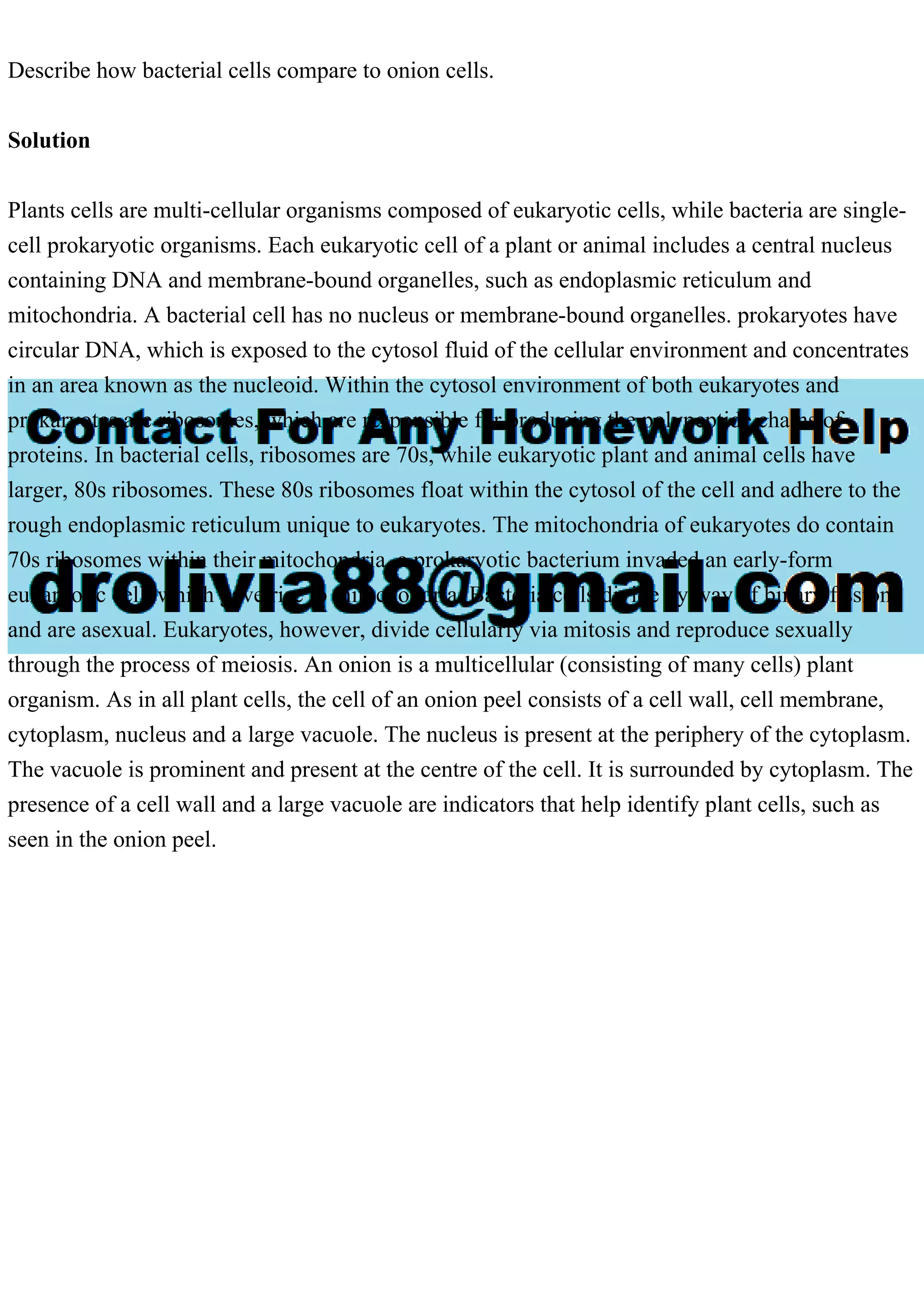 Describe how bacterial cells compare to onion cells.SolutionPl.pdf