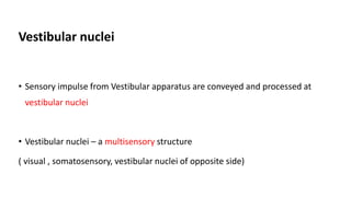 The functions of vestibular apparatus | PPTX