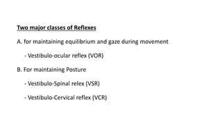 The functions of vestibular apparatus | PPTX