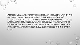 THE ROLE OF MICRO-ORGANISMS IN CARBON CYCLE | PPTX