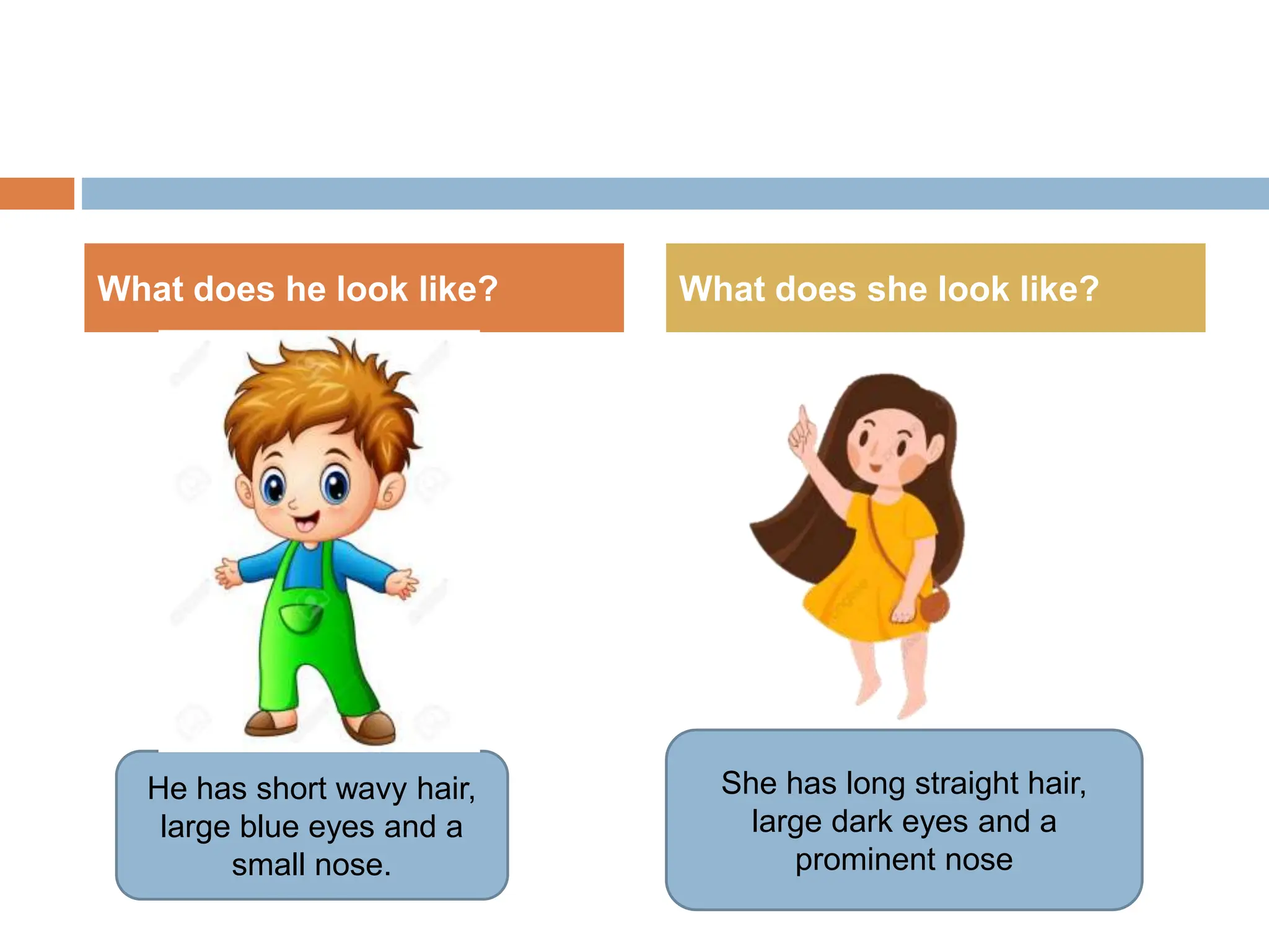 describing-appearance-grammar-drills-grammar-guides_128075.pptx