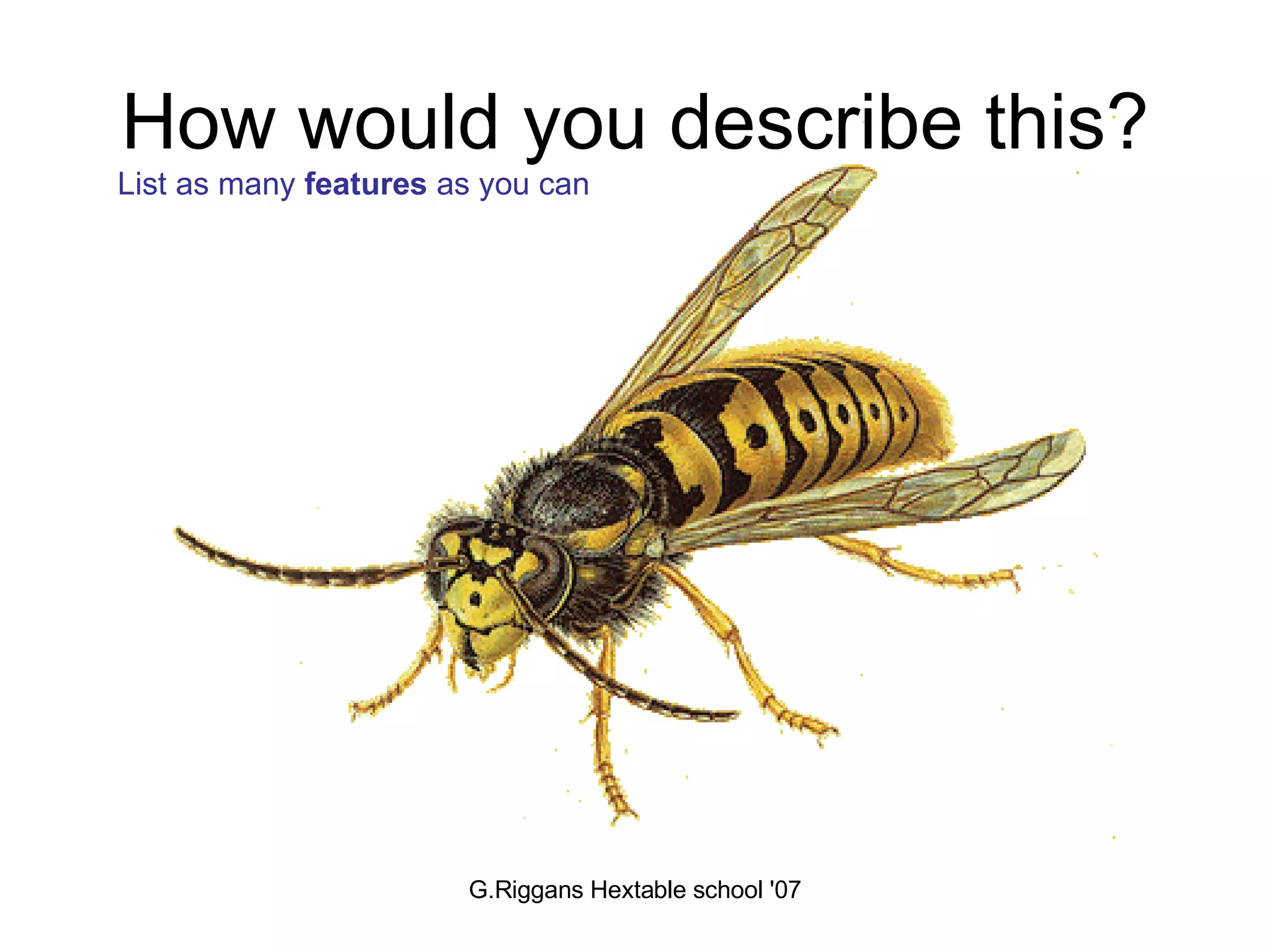 Describing Differences | PPT