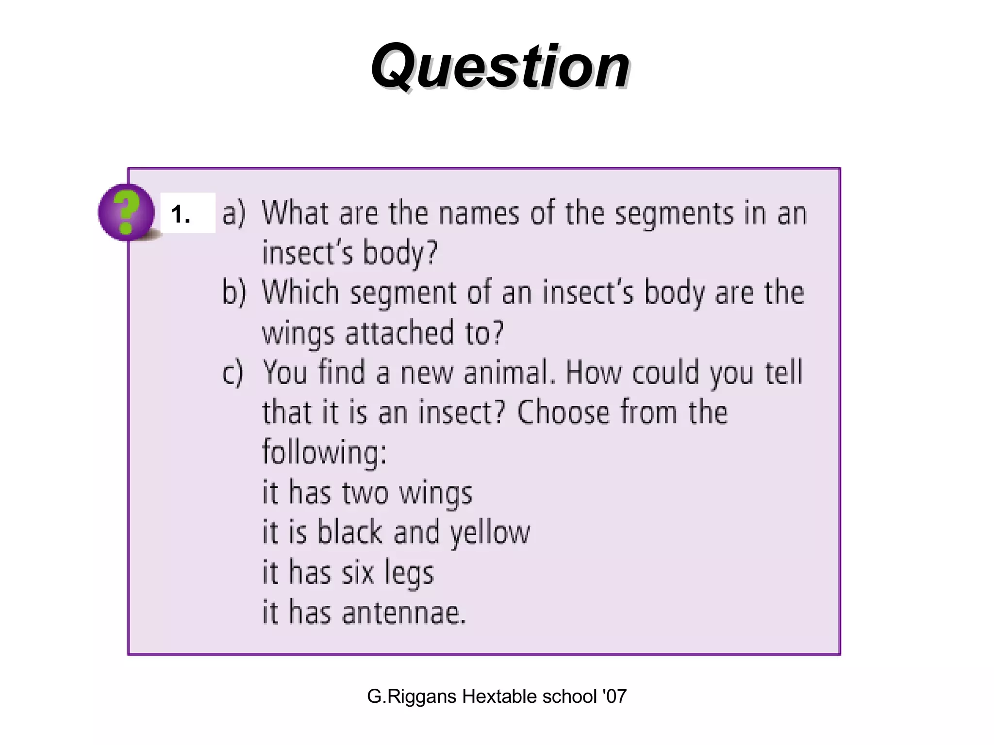 Describing Differences | PPT