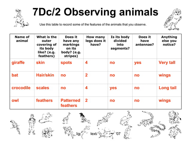 Describing Differences | PPT