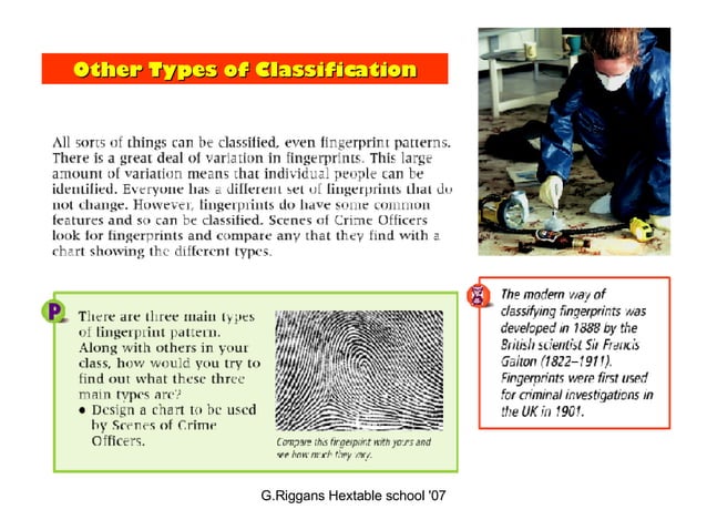 Describing Differences | PPT