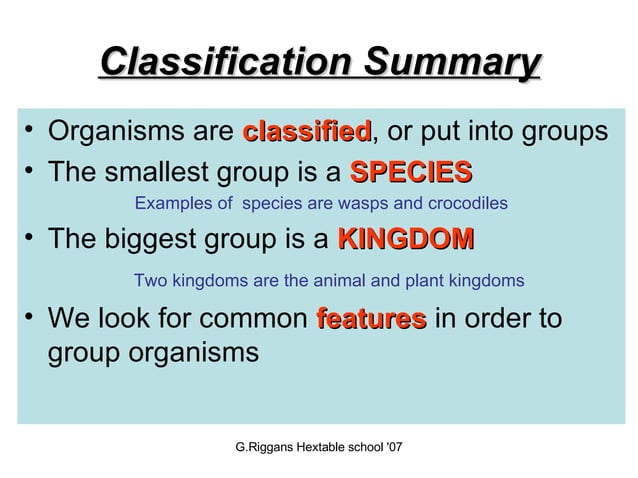 Describing Differences | PPT