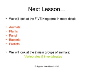 Describing Differences | PPT