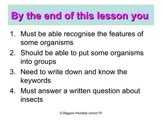 Describing Differences | PPT