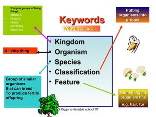 Describing Differences | PPT