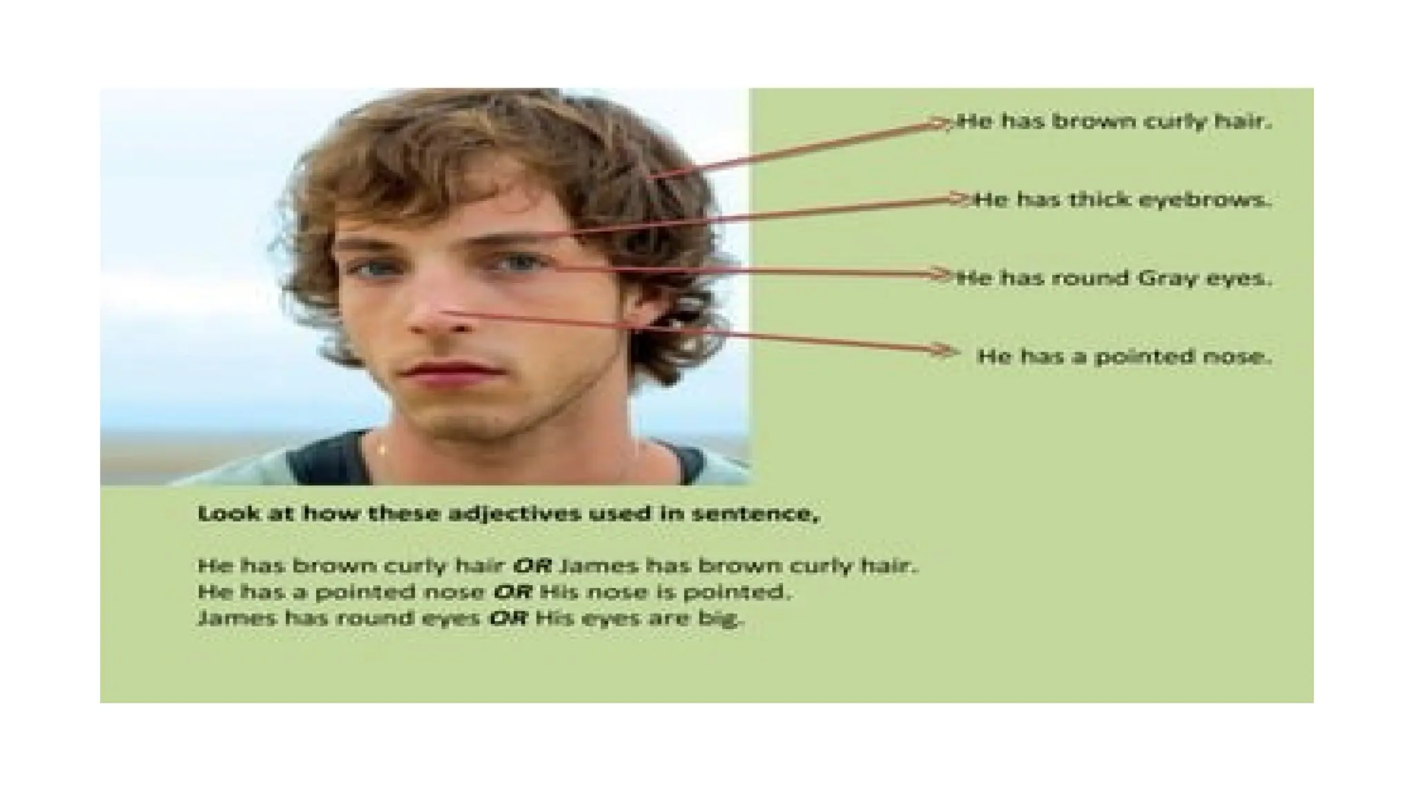 Describing-People-and-Physical-Appearance.pptx