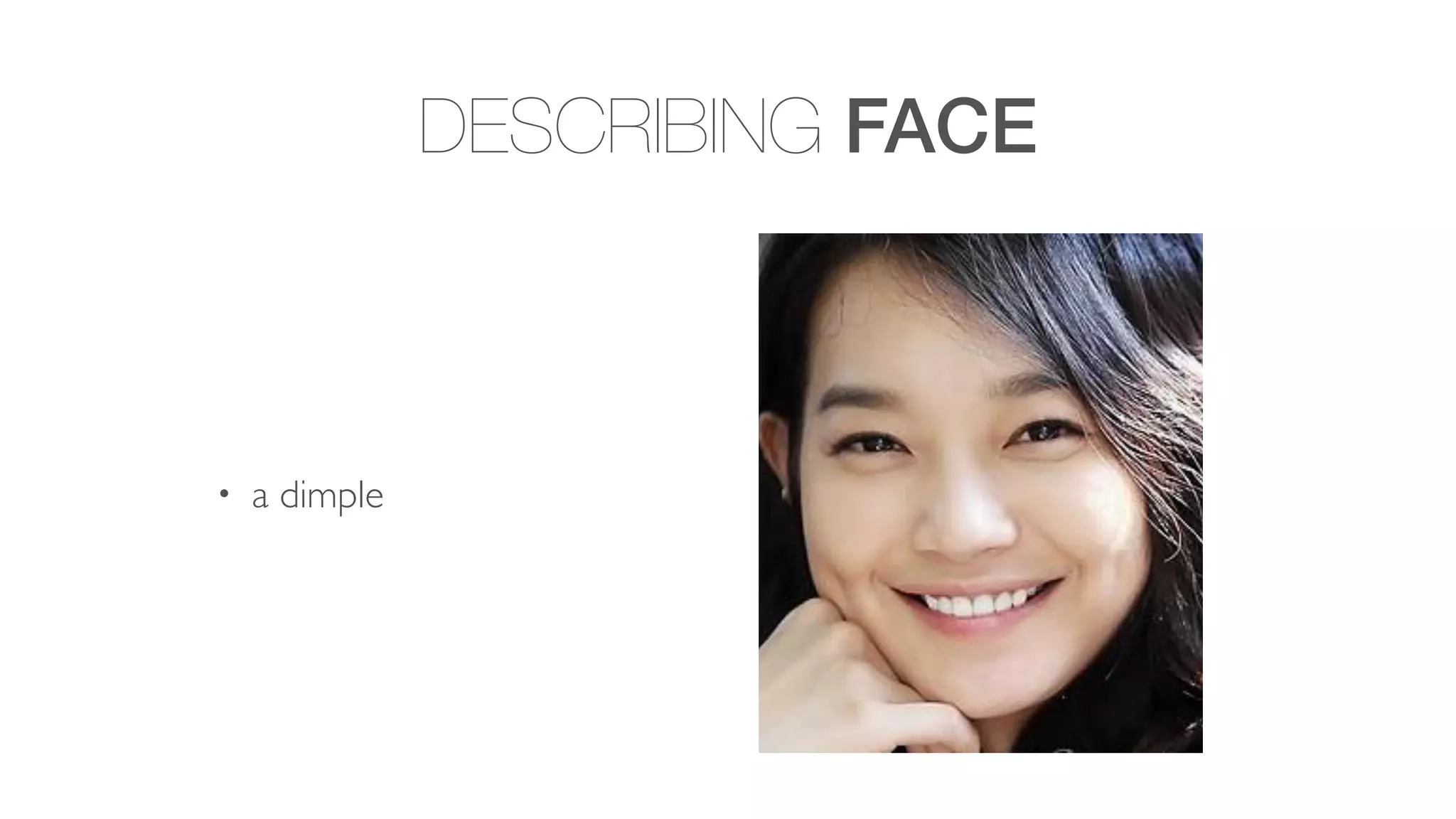 Describing Appearances | PDF