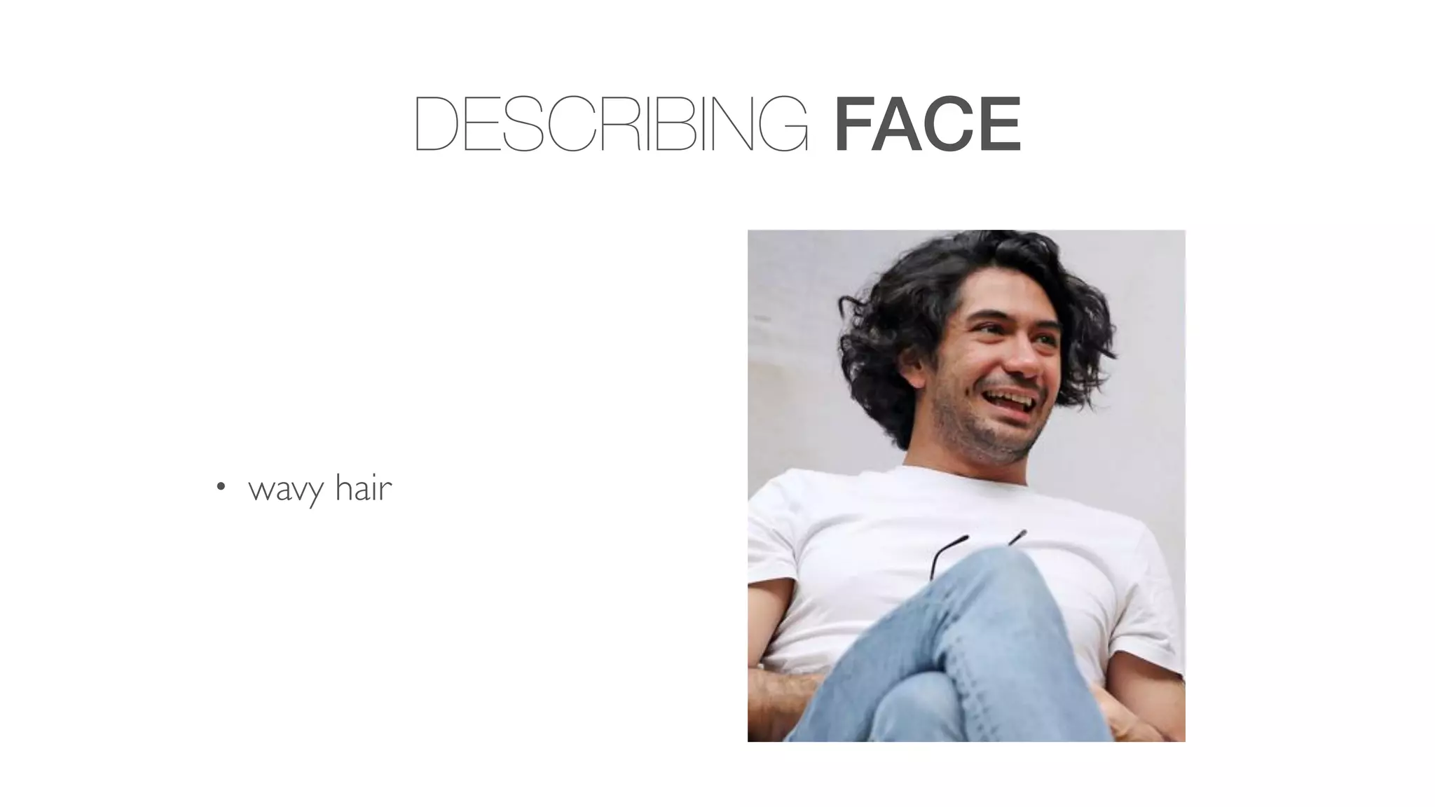 Describing Appearances | PDF