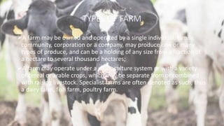 Describing a farm | PPTX