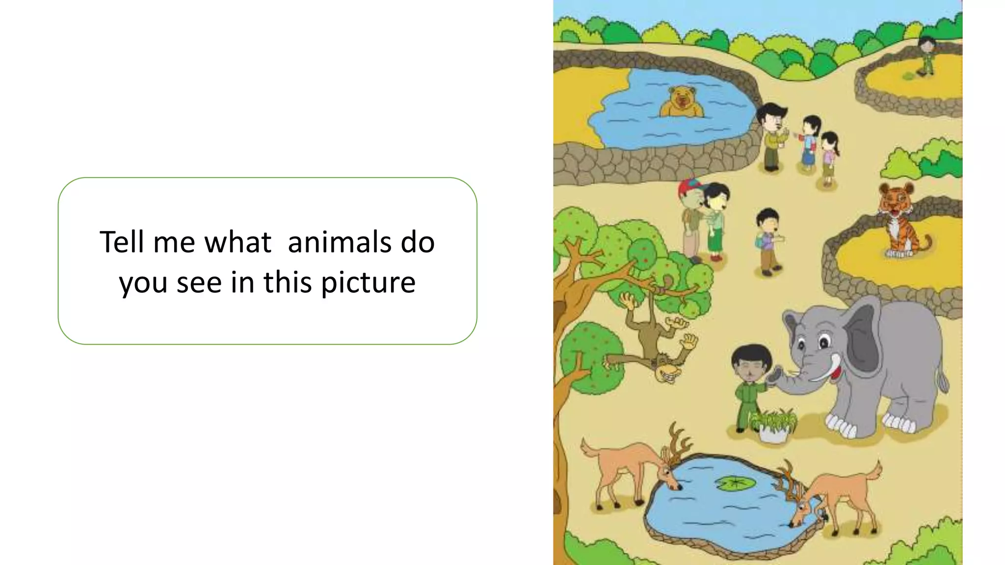 Describing An Animal.pptx