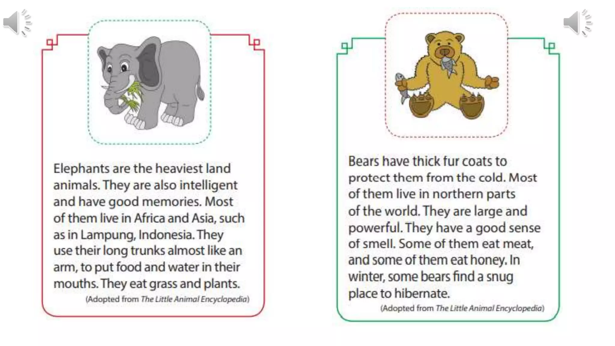 Describing An Animal.pptx