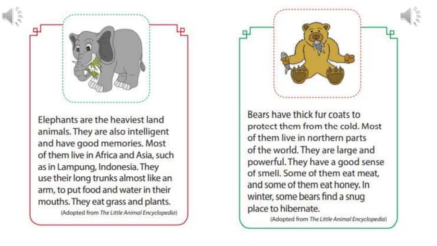 Describing An Animal.pptx