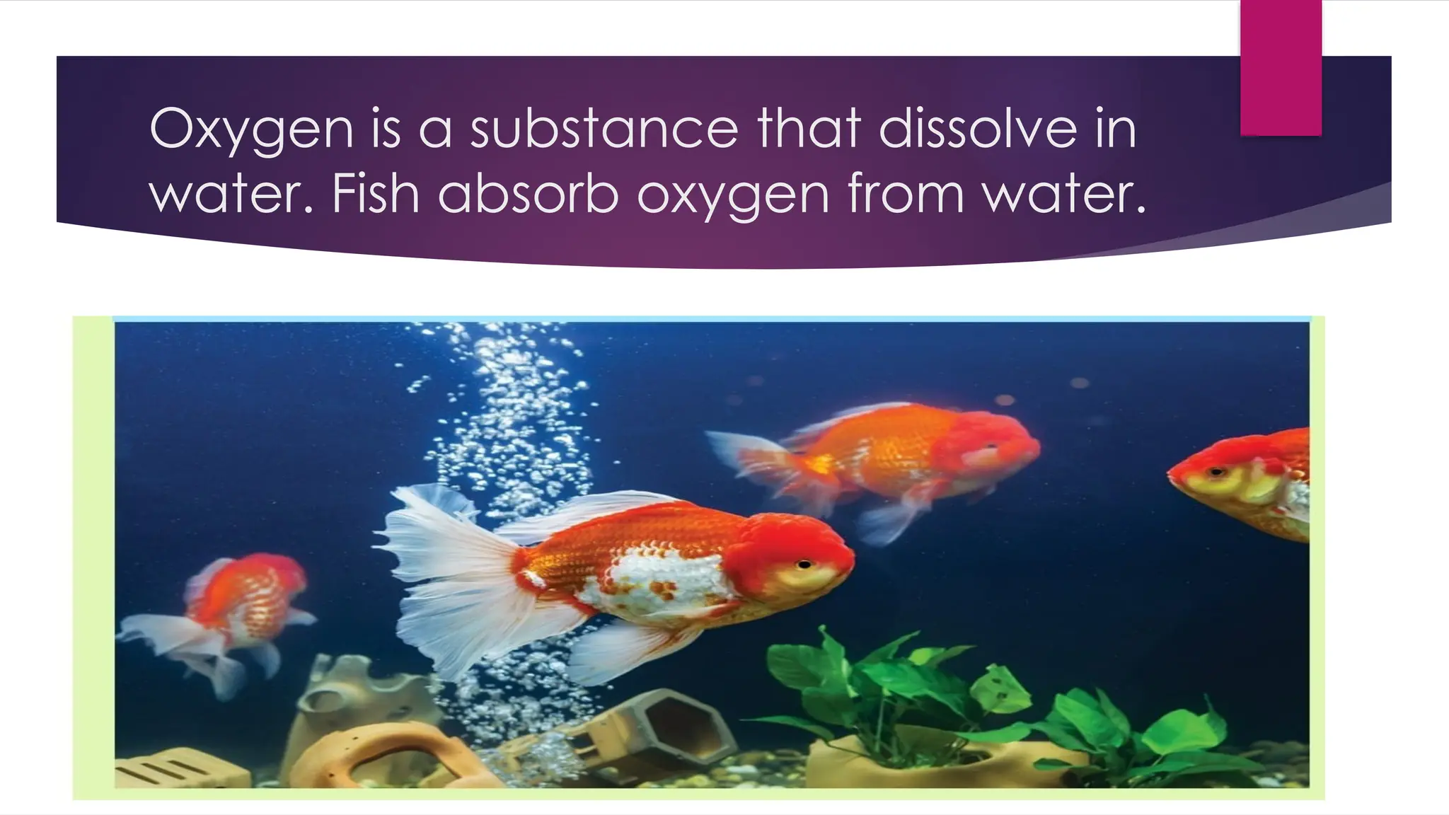 Describing and classifying Matter. grade 6 topic 1 | PPTX | Chemistry ...