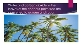 Describing and classifying Matter. grade 6 topic 1 | PPTX | Chemistry ...