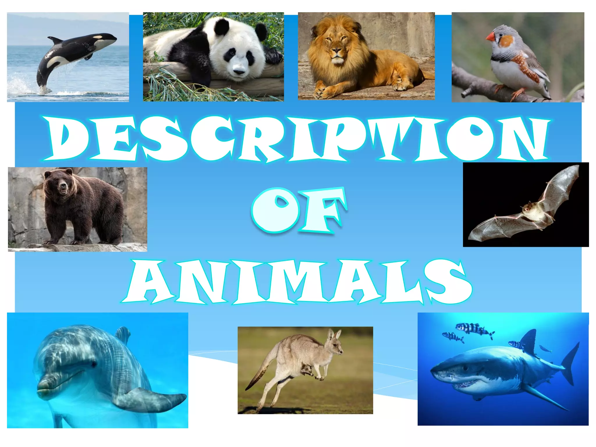 Describing animals | PPT