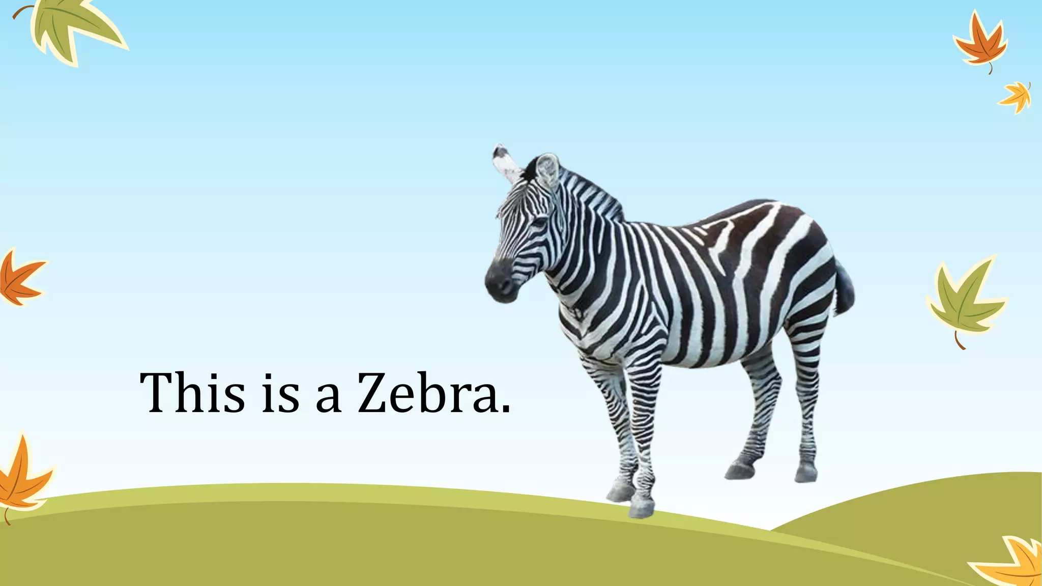 Describing Animal – Science Project Example.pdf