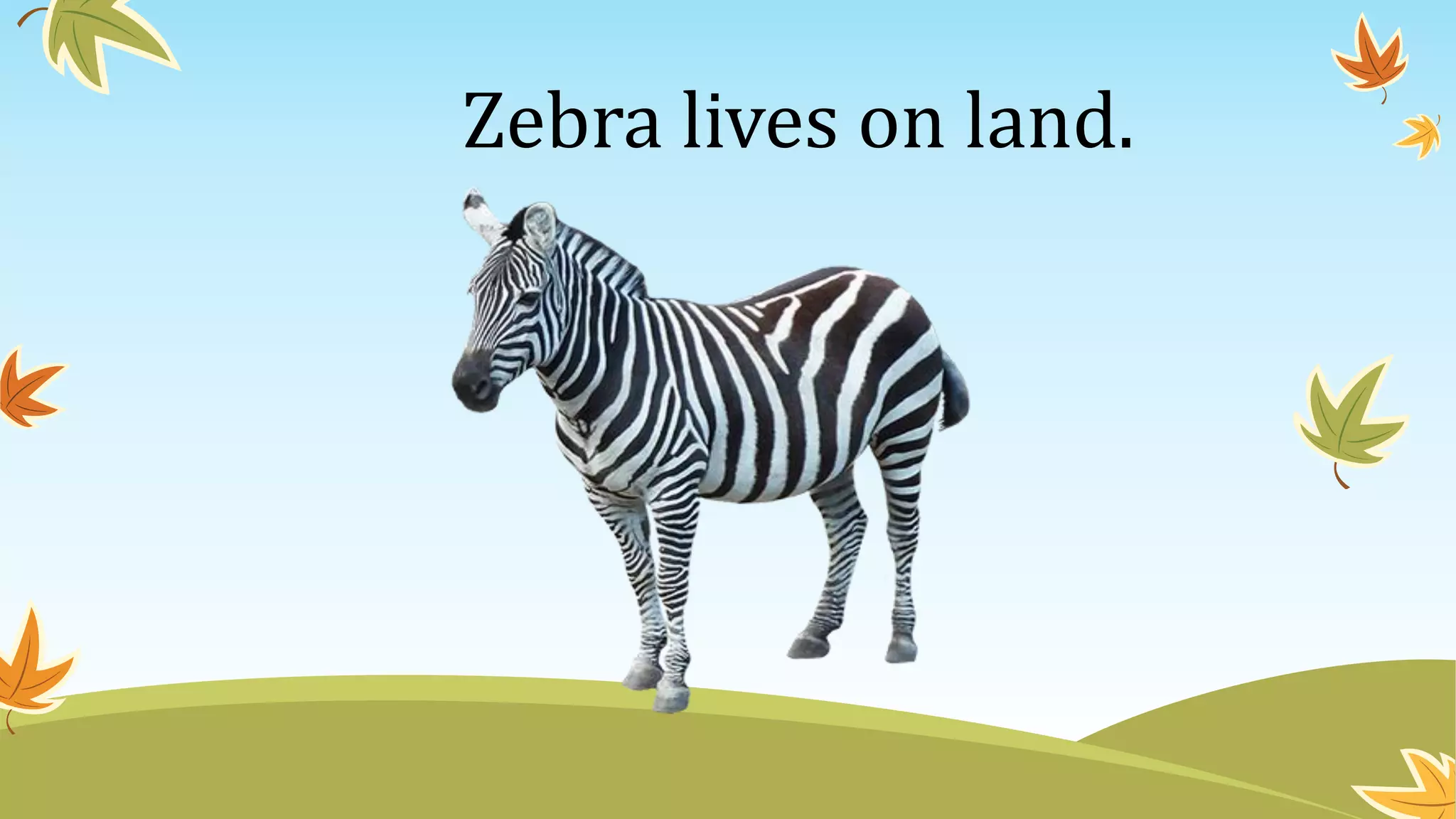 Describing Animal – Science Project Example.pdf
