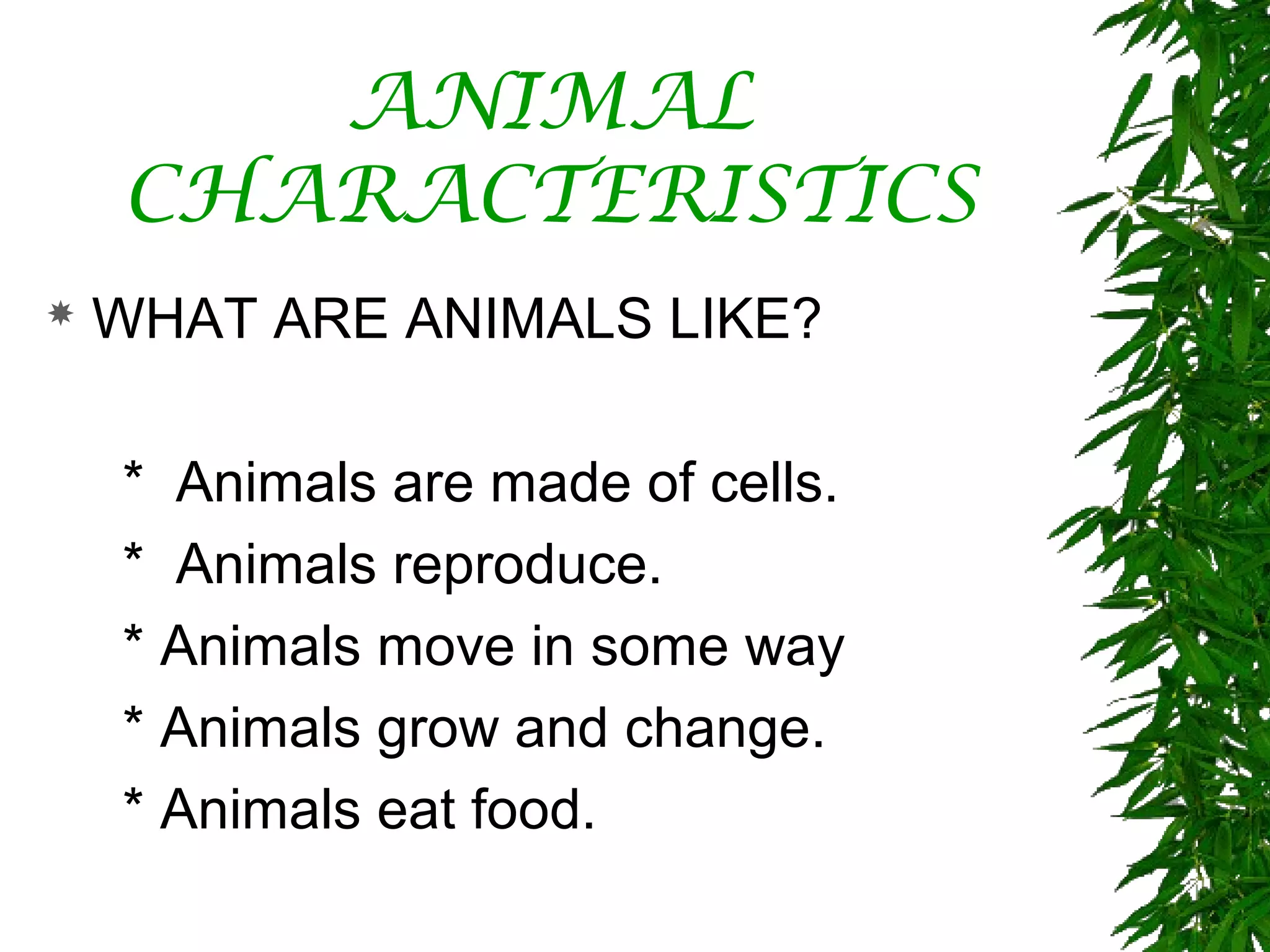 Describing animals (science) | PPT
