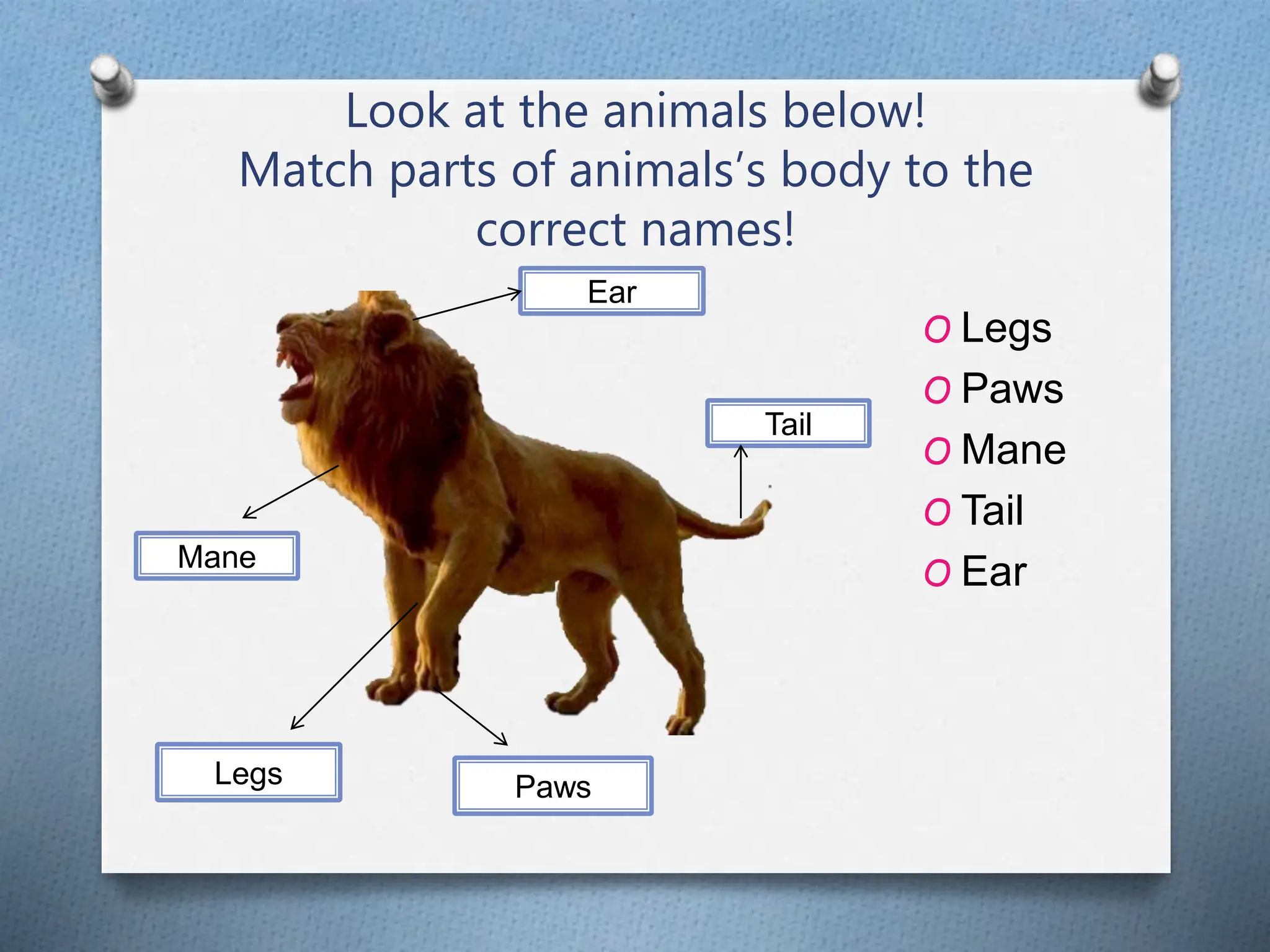 Describing Text for VII Graders : Animal | PPT | Reptiles | Pets