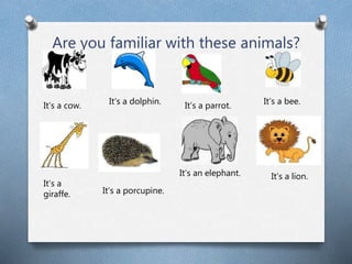 Describing Text for VII Graders : Animal | PPT