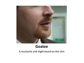 Describing a suspect | PPSX