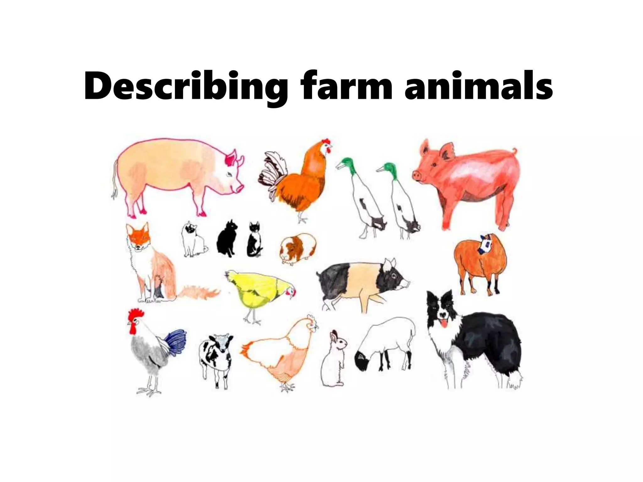Describing farm animals | PPTX